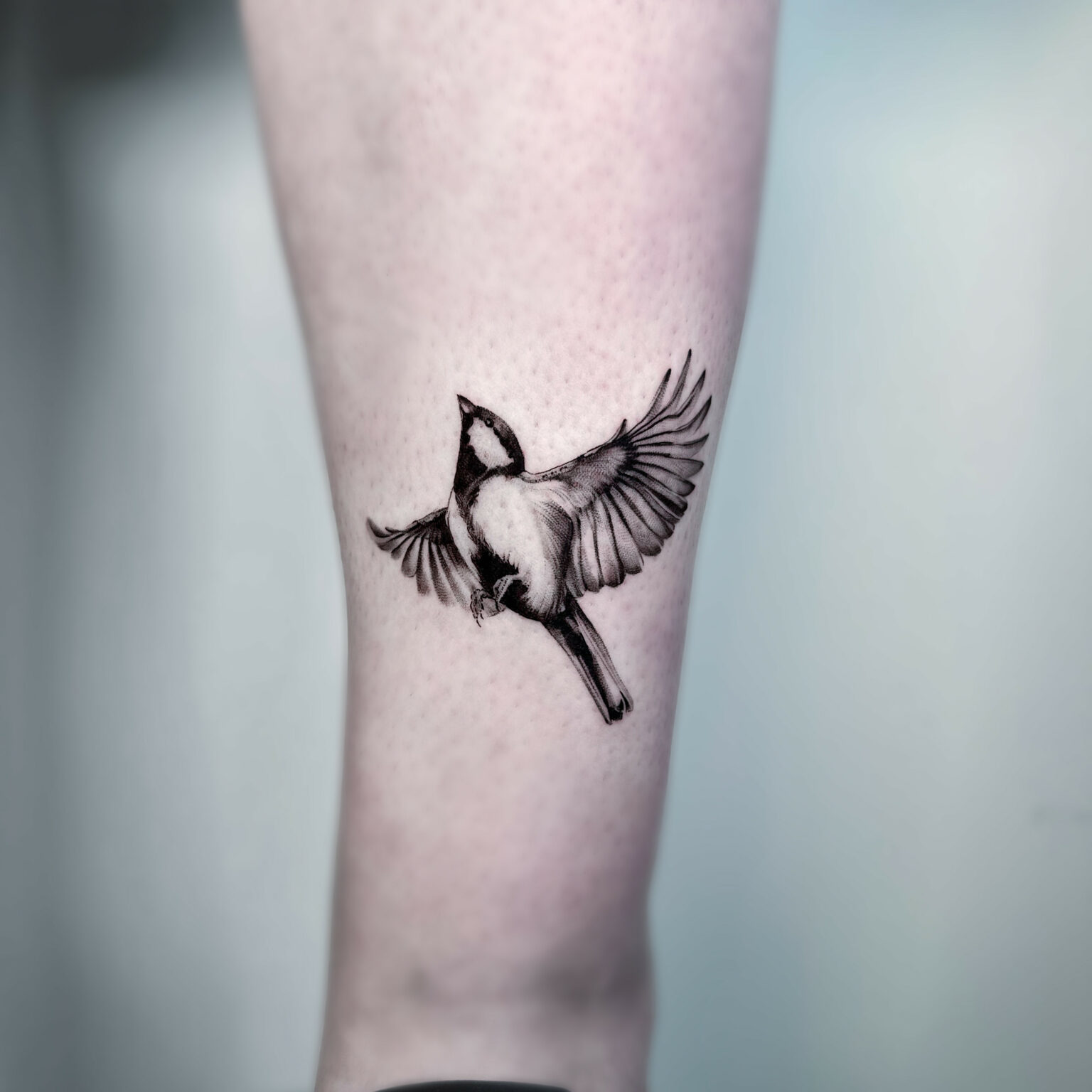 Fine Line & Micro Realism Tattoos by Maya-Guest Spot Melbourne